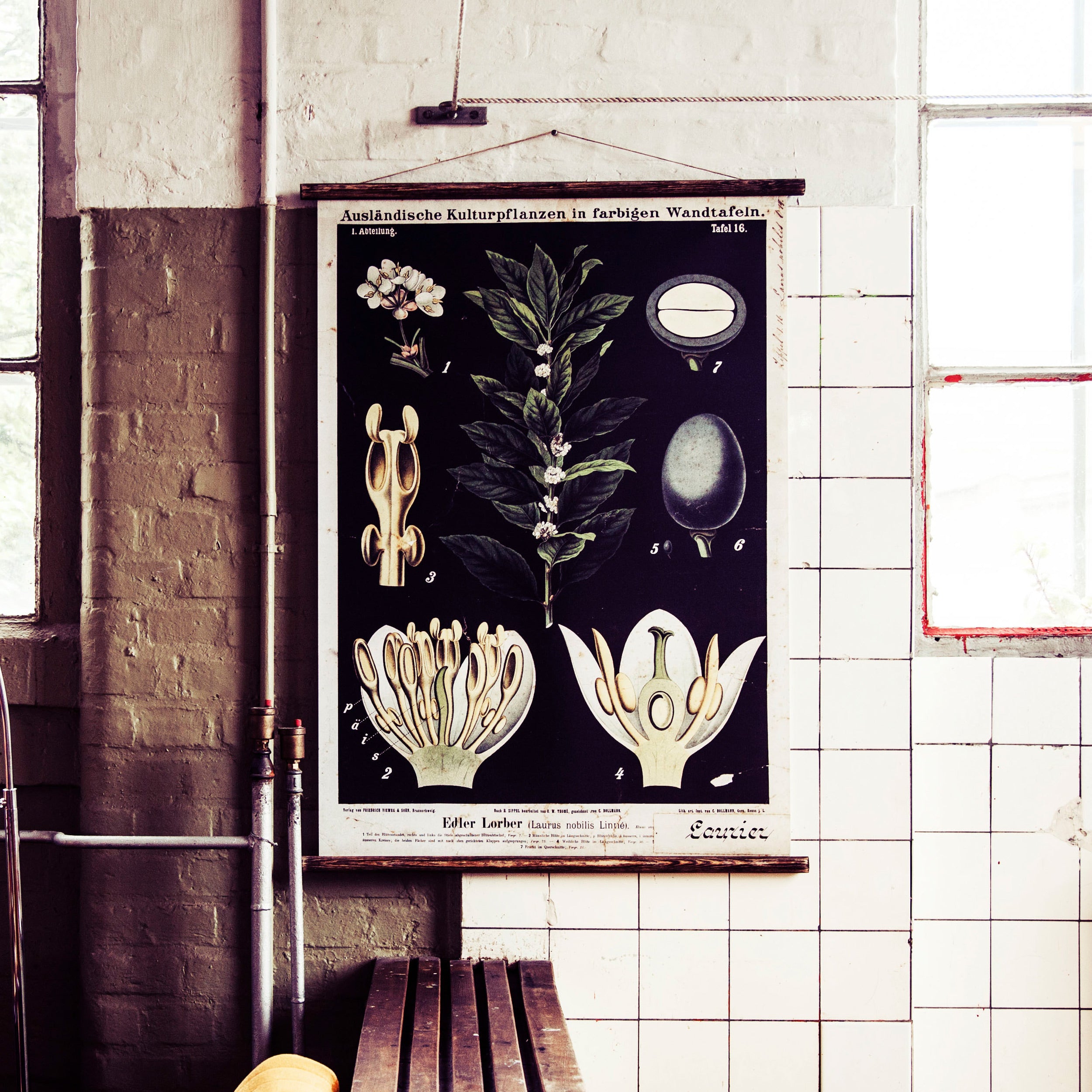 Lorber Wall Chart – Erstwhile